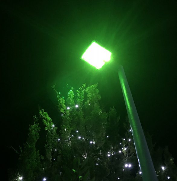 Night Of A Million Lights - A Holiday Light Display That Helps Future ...