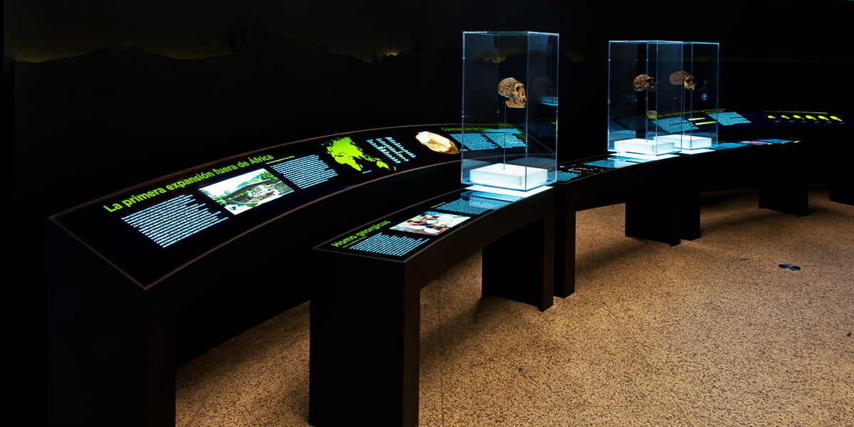 Custom LitePad – Museum Exhibit Lighting Has Evolved