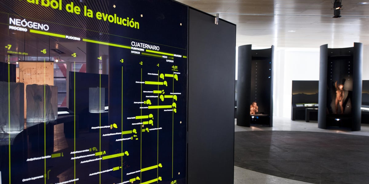 Custom LitePad – Museum Exhibit Lighting Has Evolved