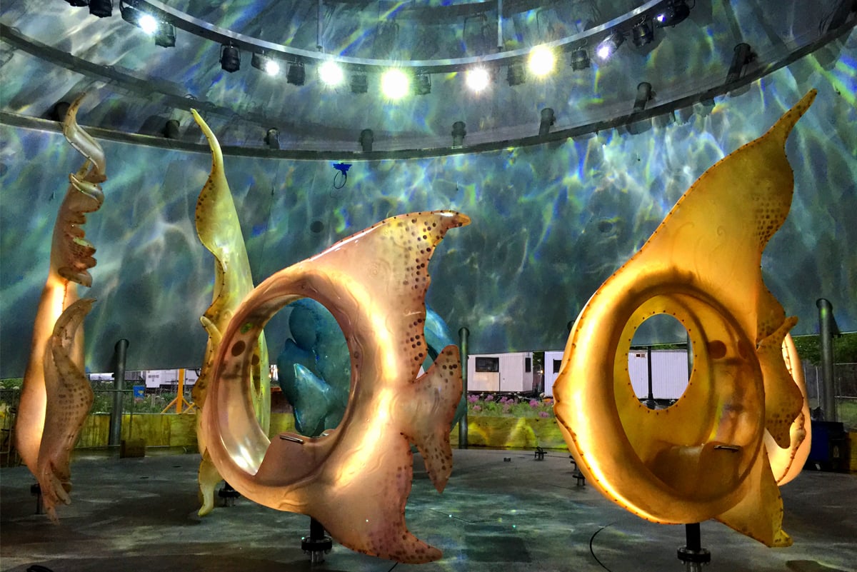 A Swirling Sea Of Light Inside The SeaGlass Carousel