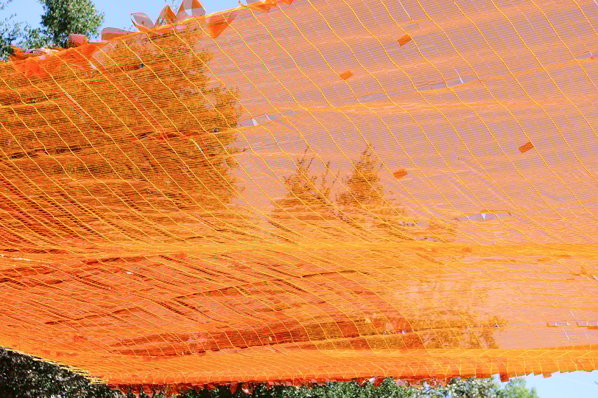 Capturing The Sunset Moment With Woven Roscolux Colors